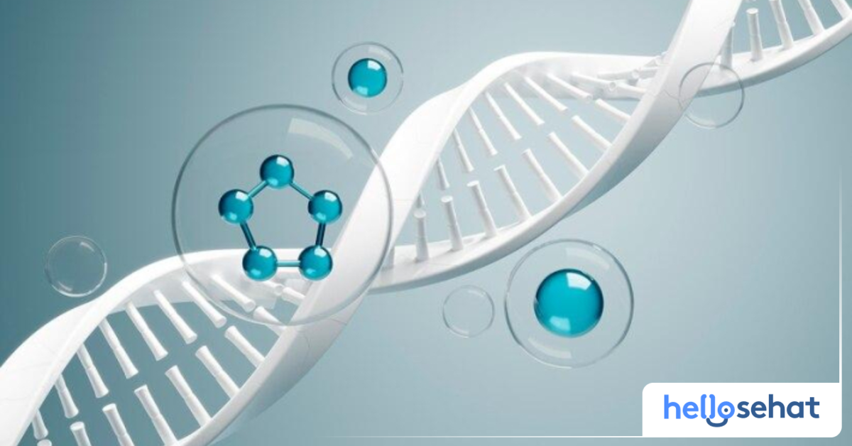 Enzim Katalase, Senyawa Penting Dalam Proses Metabolisme Tubuh