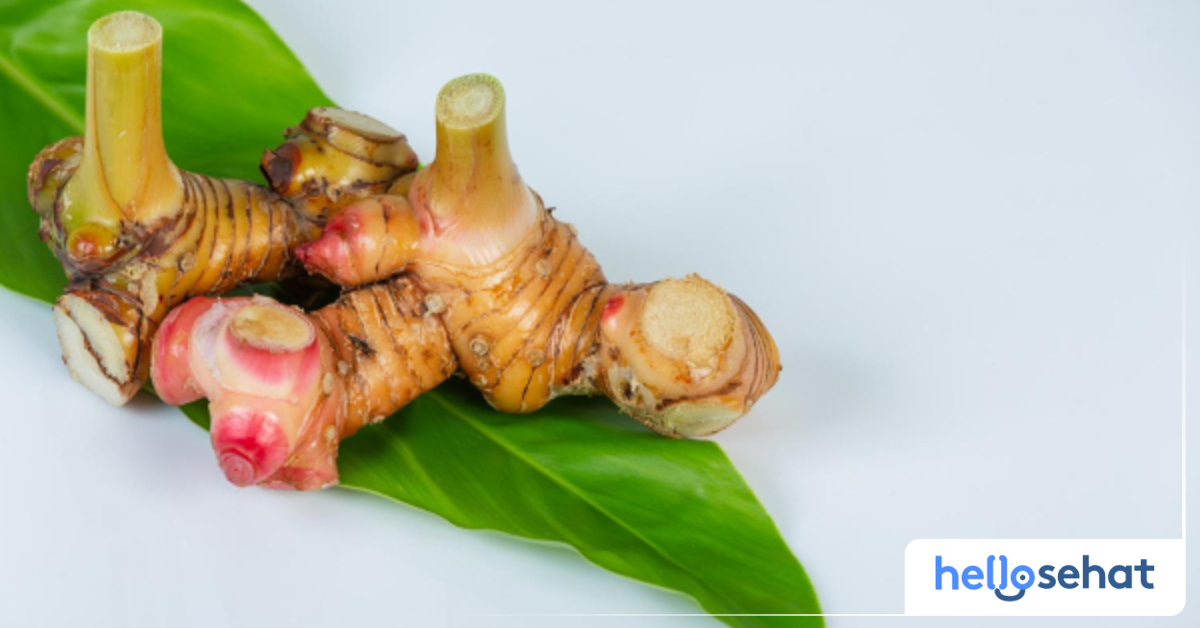 Lengkuas, Kenali 7 Manfaatnya untuk Kesehatan - Hello Sehat