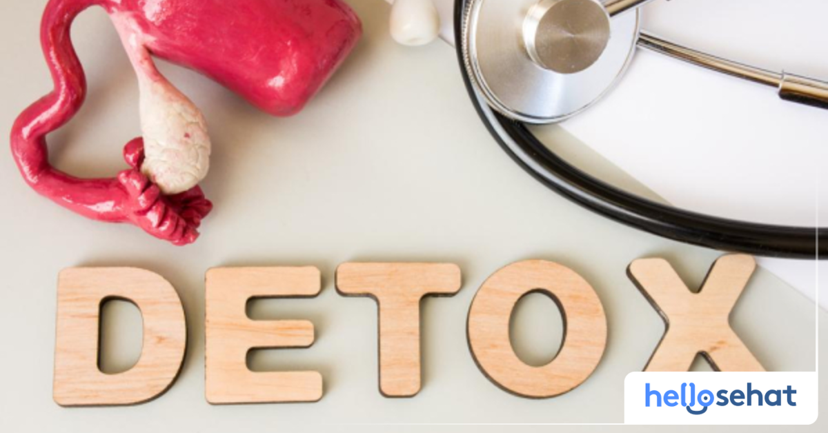6 Bahan Detox Rahim dan Manfaatnya Bagi Kesuburan